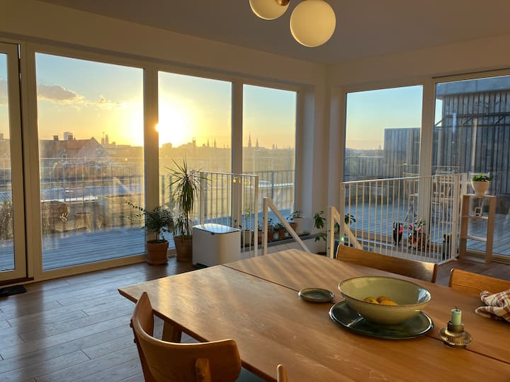 Penthouse In Copenhagen With Rooftop Terrace - Copenhaguen
