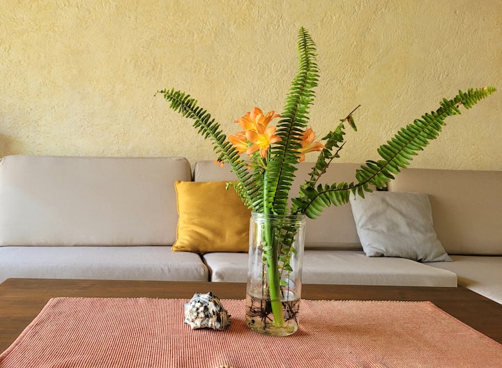 .Casa Sol Y Luna. - Tepoztlán