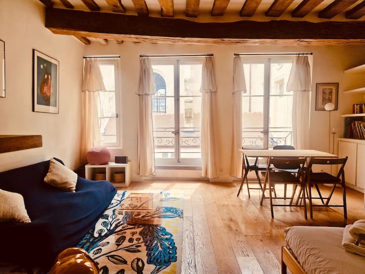 ÎLe Saint Louis - Paris Centre - Paris