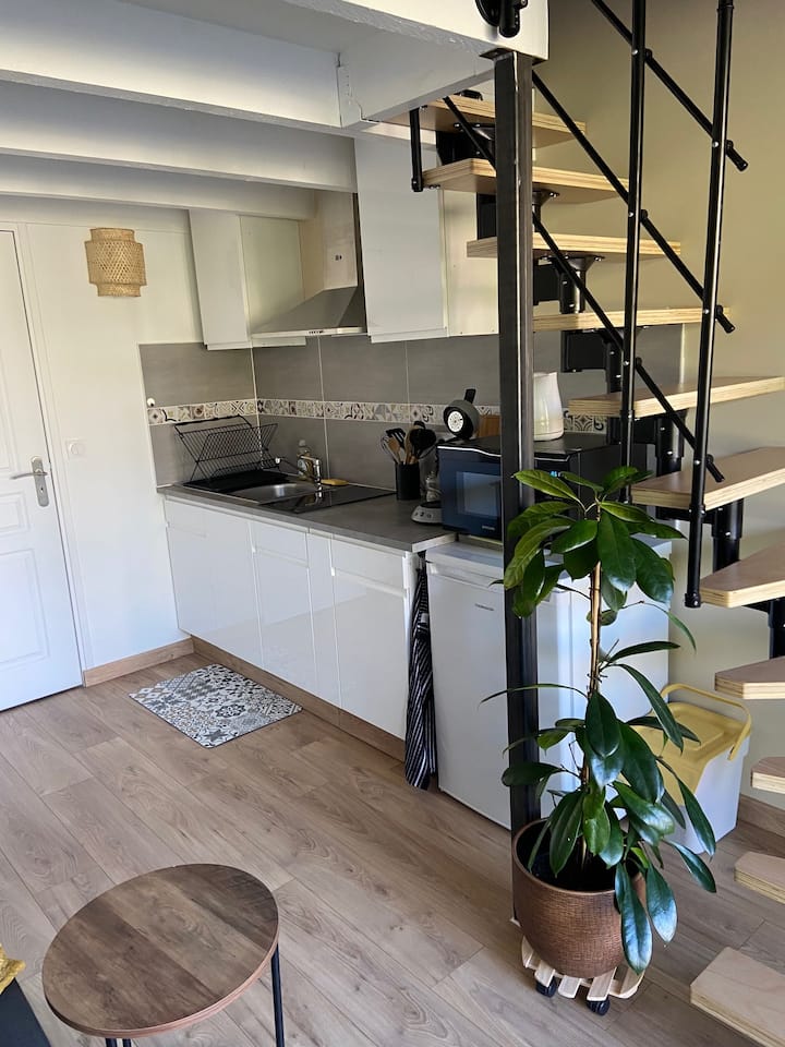 Studio Le Petit Toît Des Pins - Montélimar