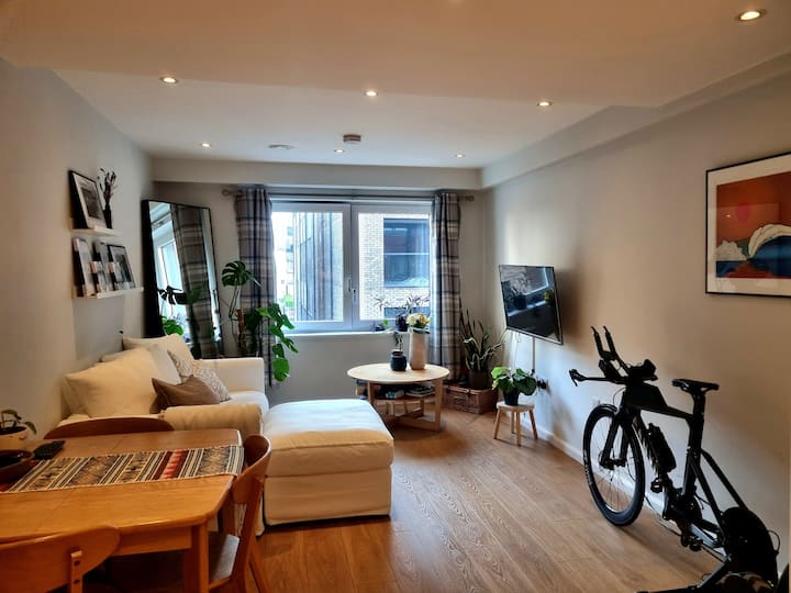 Entire 1 Bedroom Flat, Angel - Bright And Spacious - Central London