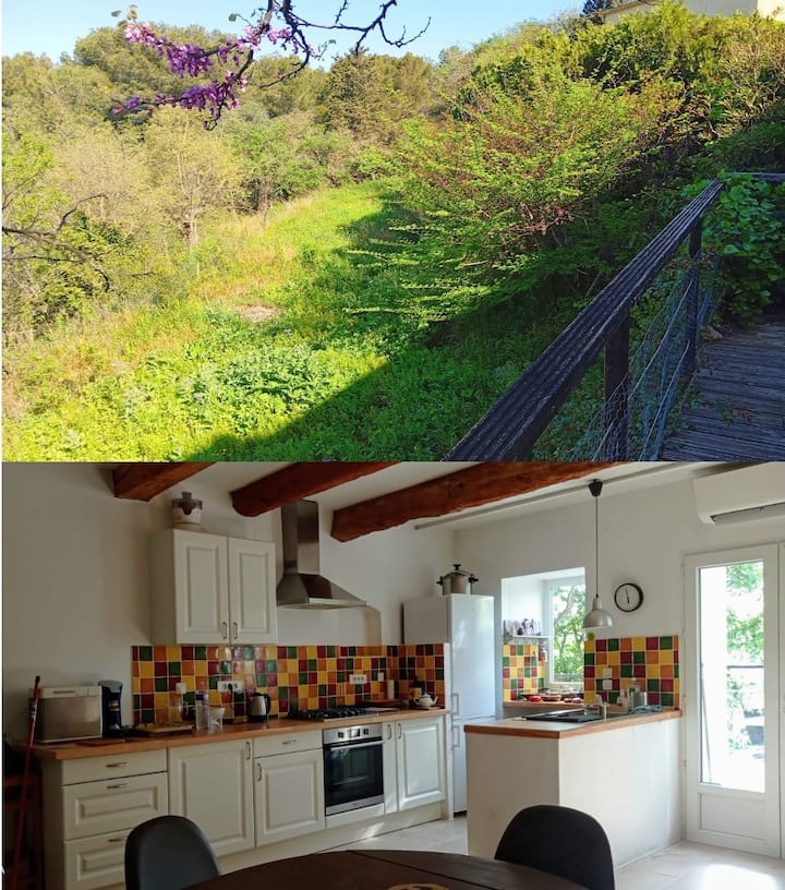 Maison De Village Authentique Avec Jardin - Pézenas