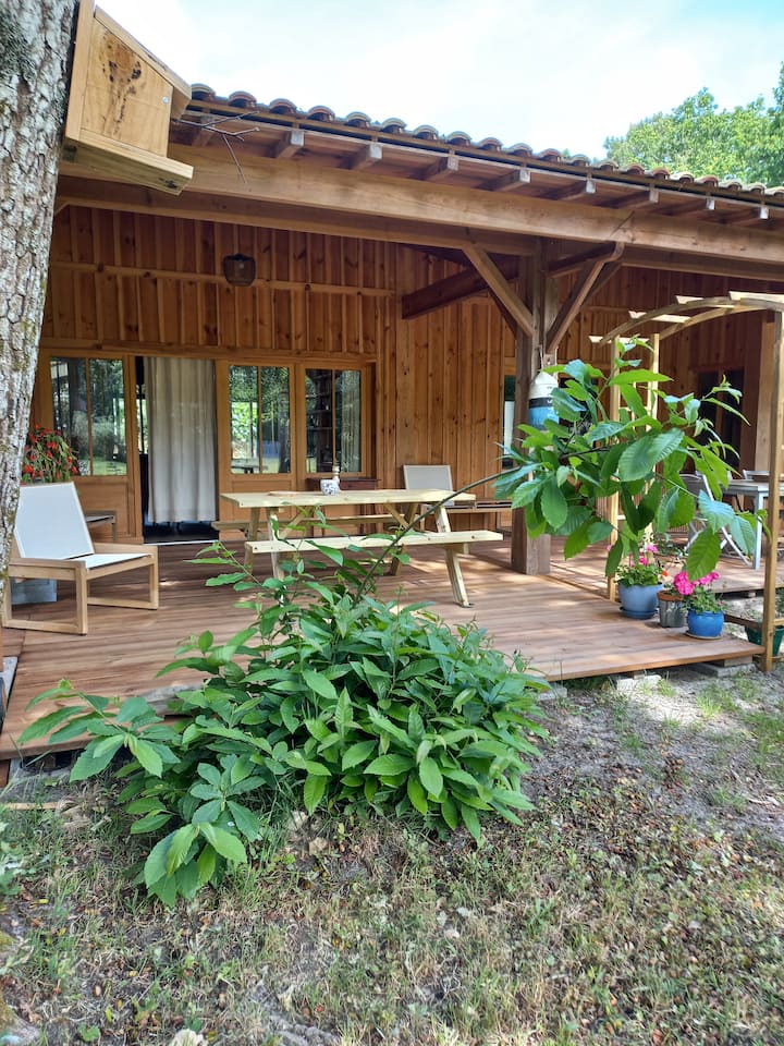 Maison Style Cabane Proche Lac Et Forêt - Lacanau