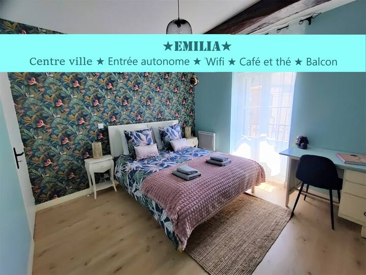 Appartement Emilia Centre Ville - Ille-et-Vilaine