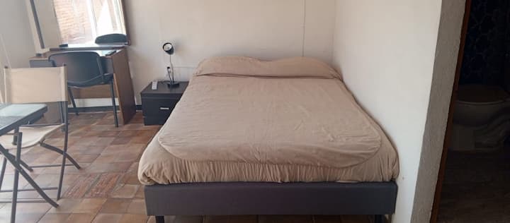 Nice Room Near Jardín De Tequis And Downtown - San Luis Potosí