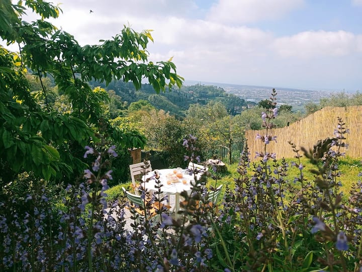 Casa Rosa In Collina Con Servizio Massaggi - Camaiore