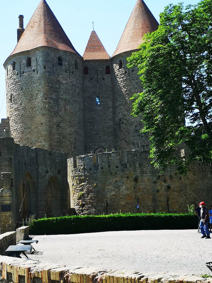 Les Portes De La Cité. Accès Direct Cité 5 Minutes - Carcassonne