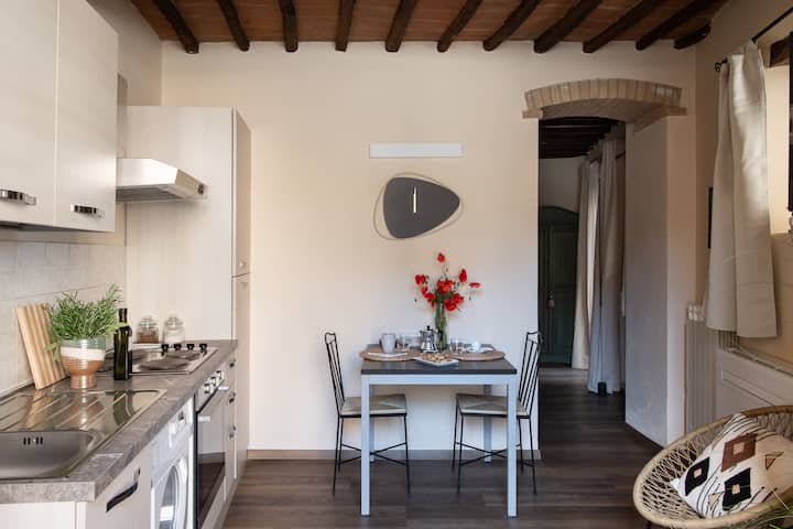 Il Borghetto- La Ghibellina Loft - Montalcino