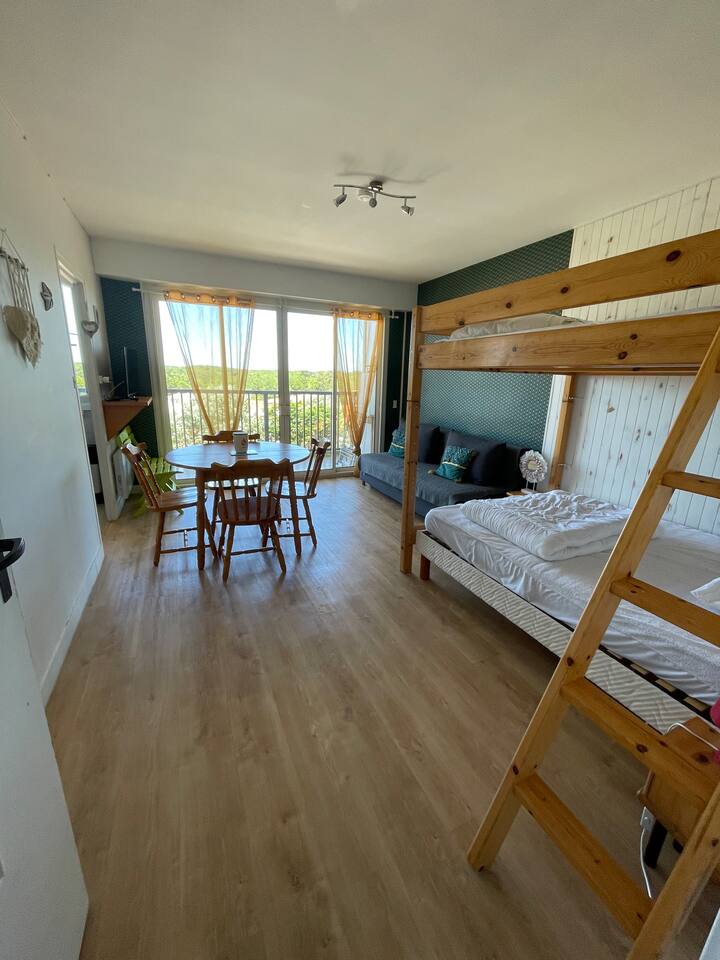 Studio Saint Jean De Monts Immeuble Face Plage - Saint-Jean-de-Monts
