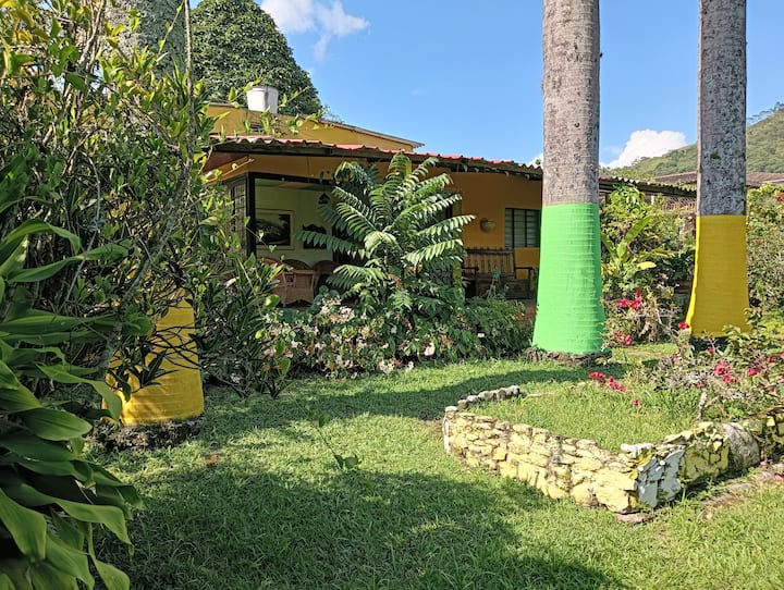 Las Palmeras - Chinácota