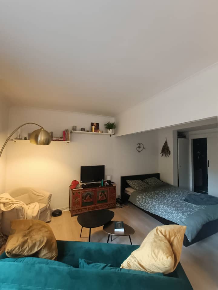 [Jardins Du Roi] Charmant Studio, Idéalement Situé - Bryssel