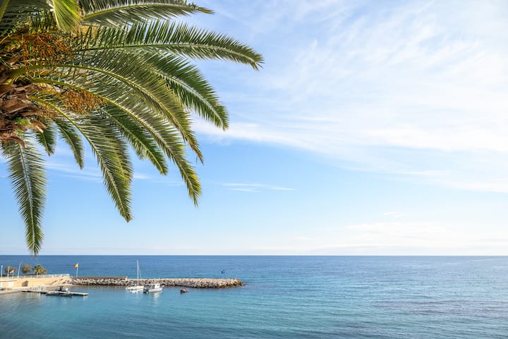 Le Coq Ligures - Garage - Ac - Wifi - Seafront - Plage de Solenzara