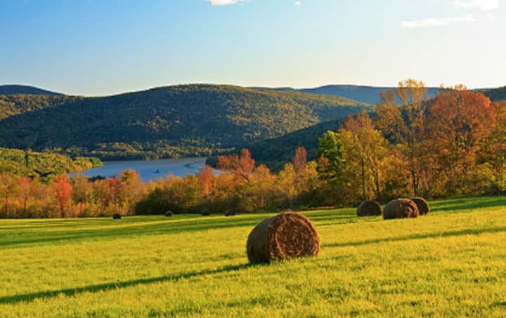 Out In Left Field - Gilbert Lake State Park, Laurens