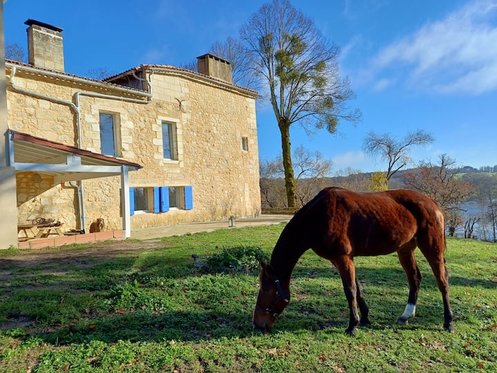Near Saint-emilion Family Polo Estate With A River - Coutras