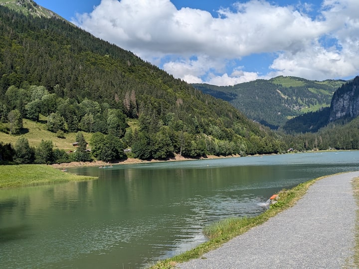 Apartment In Old Town Morzine - Morzine