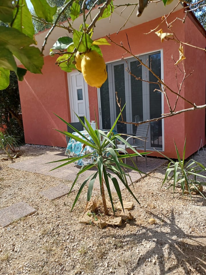 Robin Hood - Zakynthos