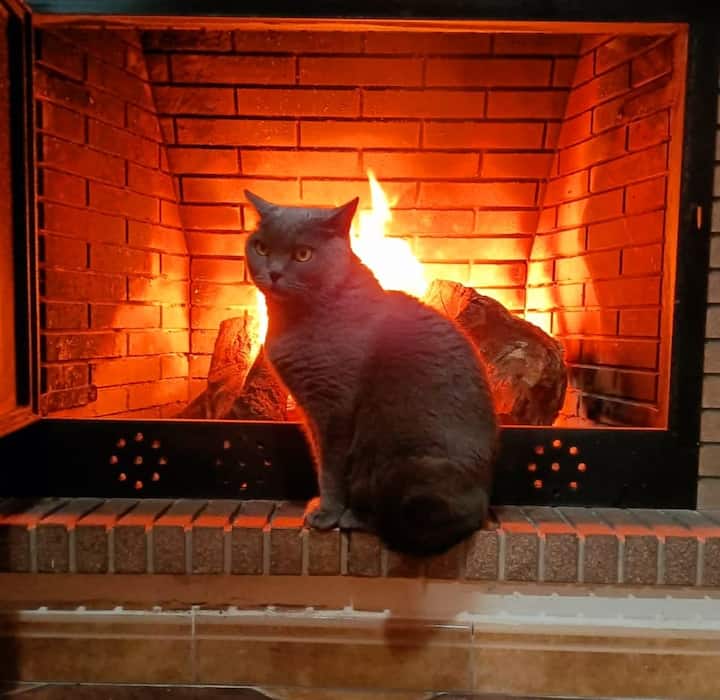 Villa Con Chimenea, Bbq Y Piscina. Pet Friendly - Chiclana de la Frontera