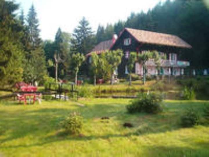 Le Chalet Apart Hôtel Autonome Gérardmer - Gérardmer