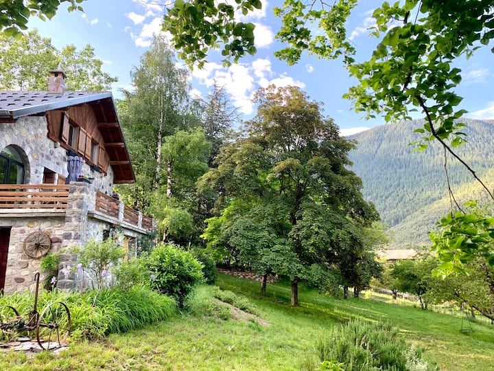 Chalet Le Tilleul
Chambre Cerf
Petit-déj. Inclu - Valdeblore