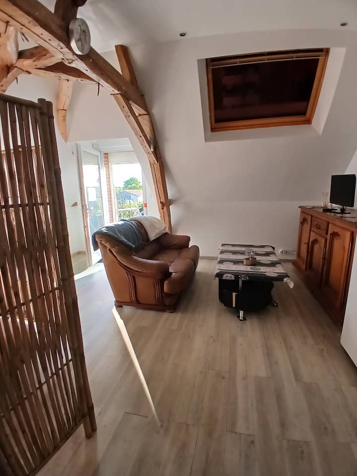 Appartement 50 M2 - Chalonnes-sur-Loire