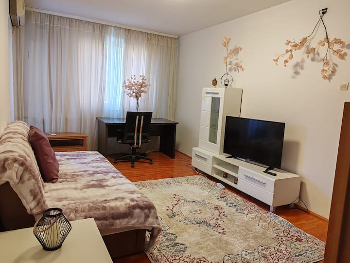 Parklake/ 4 Camere / 8 Persoane - Bucharest