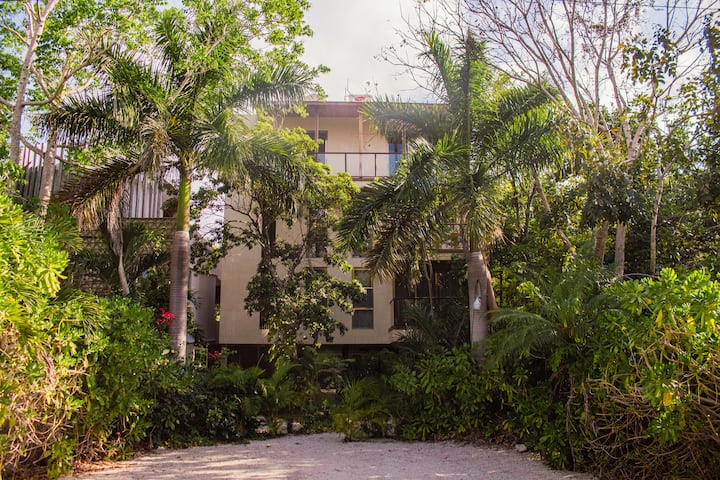 Suite - Santuario Apartments - Mexico