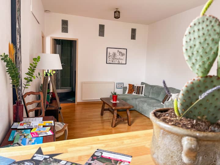 L'akwaba : Lumineux Appartement En Centre Ville - Yport