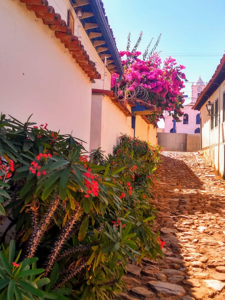 Casa Colonial C/quintal. Centro Histórico - Paracatu