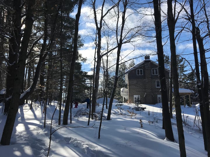 Waterfront Muskoka Cottage With Heated Pool - Bracebridge