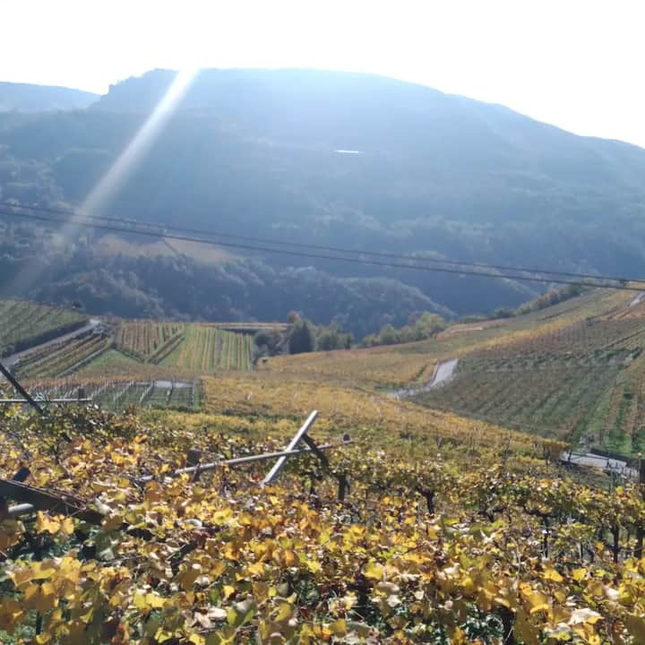 Vacanze Ca' Dina Sul #Camminodelleterresospese - Trento