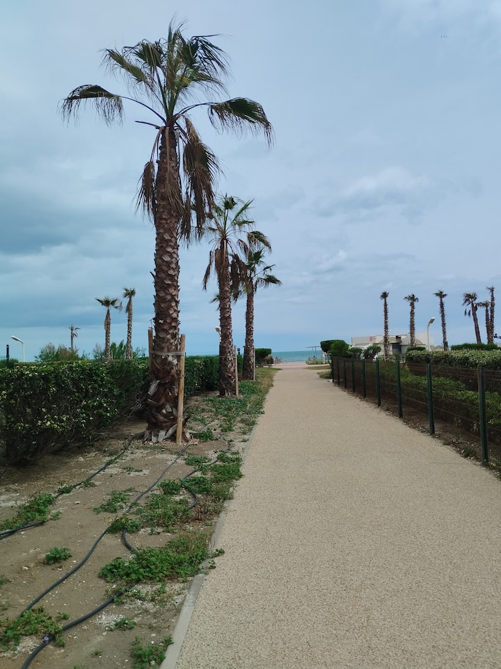 Front De Mer T2 - Le Barcarès