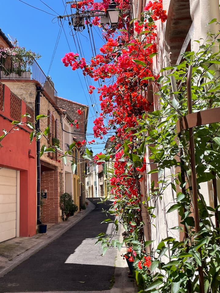 Byhus Sentralt I Gamlebyen - Collioure