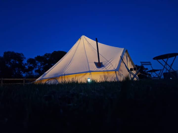 Buttercup - Warwickshire