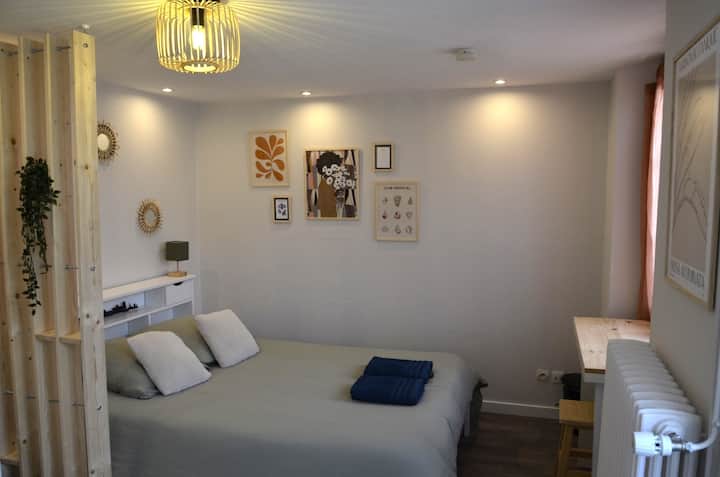 Petit Studio Style Bohème - Angers