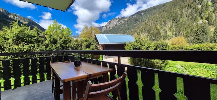 Appartement Avec Vue Montagne – Proche Des Pistes - Châtel