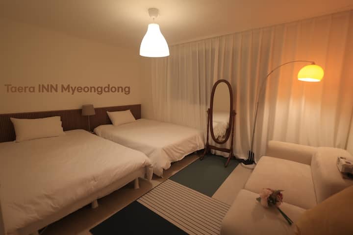 [Taera Inn Myeongdong2]namsancablecar, Namdaemoon - 명동