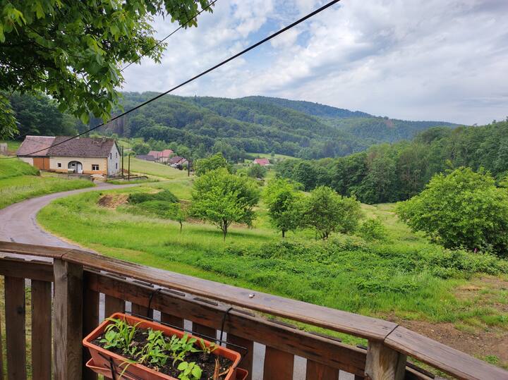 Chambre D'hôtes Pleine Nature 11 Personnes - Ballon d'Alsace