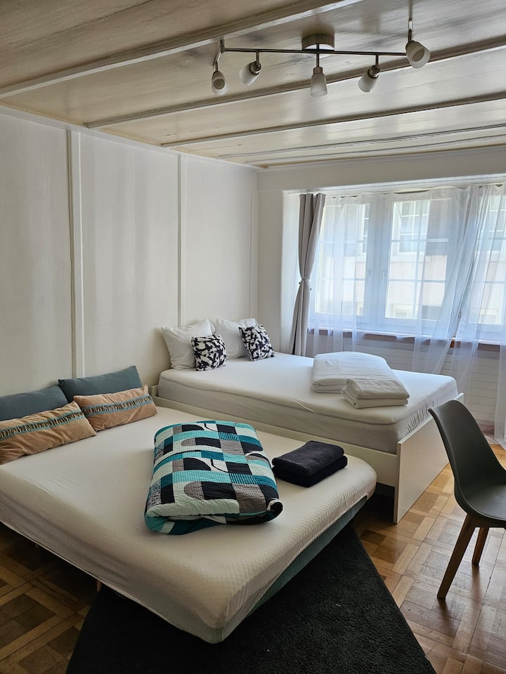 Zurich City Center Apartment With Ac - Zürich
