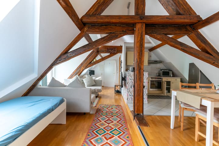 Stylish Attic Apartment At Schlosspark - Wiesbaden