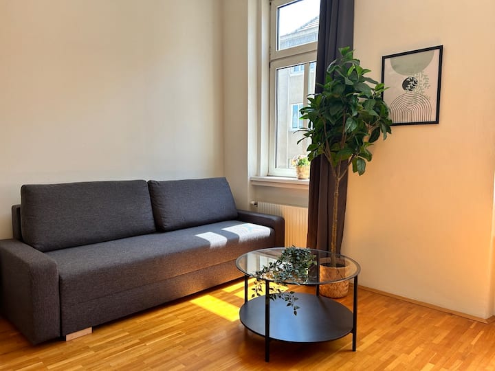 90 M2 | Spacious | Free Parking - Viena