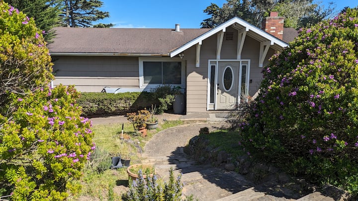 Smart Comfy Home Away From Home - South San Francisco, CA