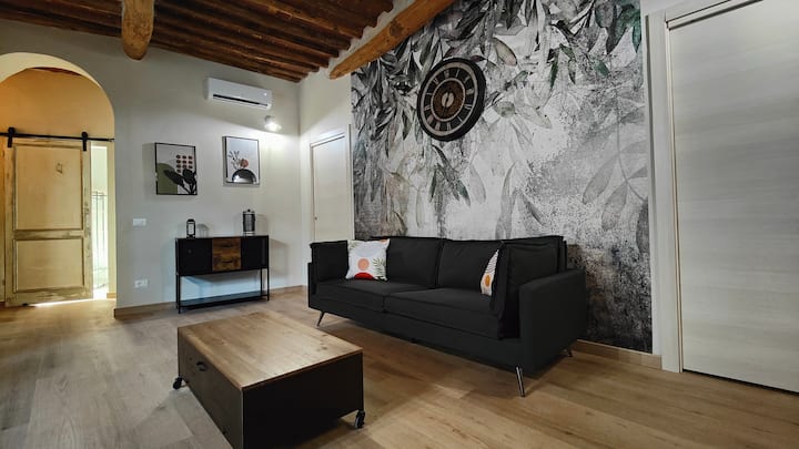 Appartamento A M.400 Dalle Mura - Lucca