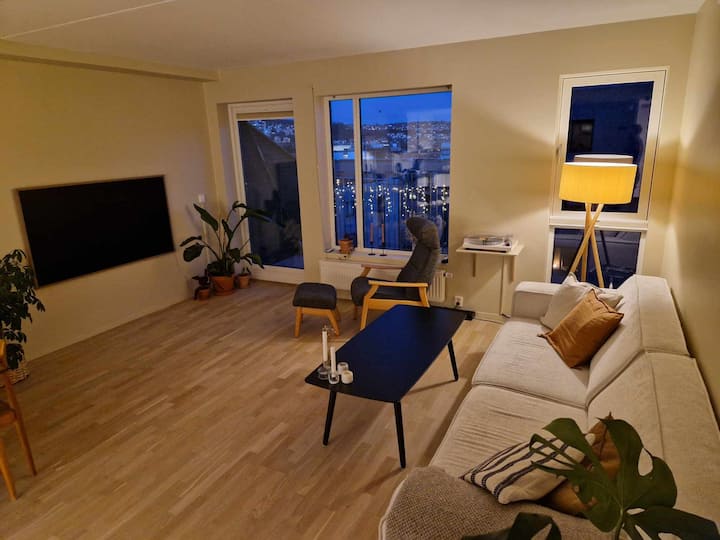 Moderne Toppleilighet Med Gratis Parkering - Oslo