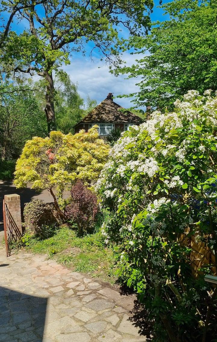 Woods, Shopping, Airport & Beach Nearby - Bournemouth