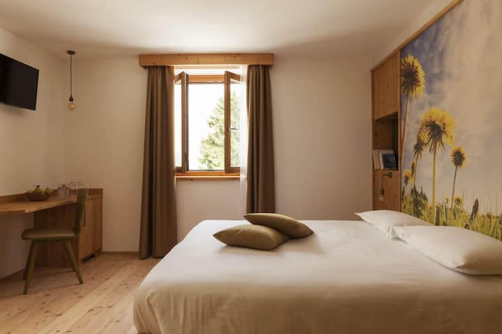 Camera Standard Matrimoniale - Molveno