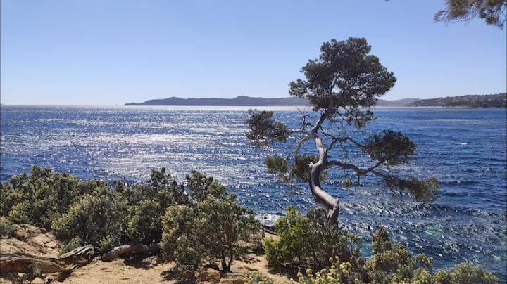 Studio à 500m De La Mer Avec Piscine - Rayol-Canadel-sur-Mer