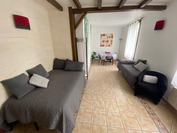 Suite Parentale Et Salon 50m2 - Maisons-Alfort