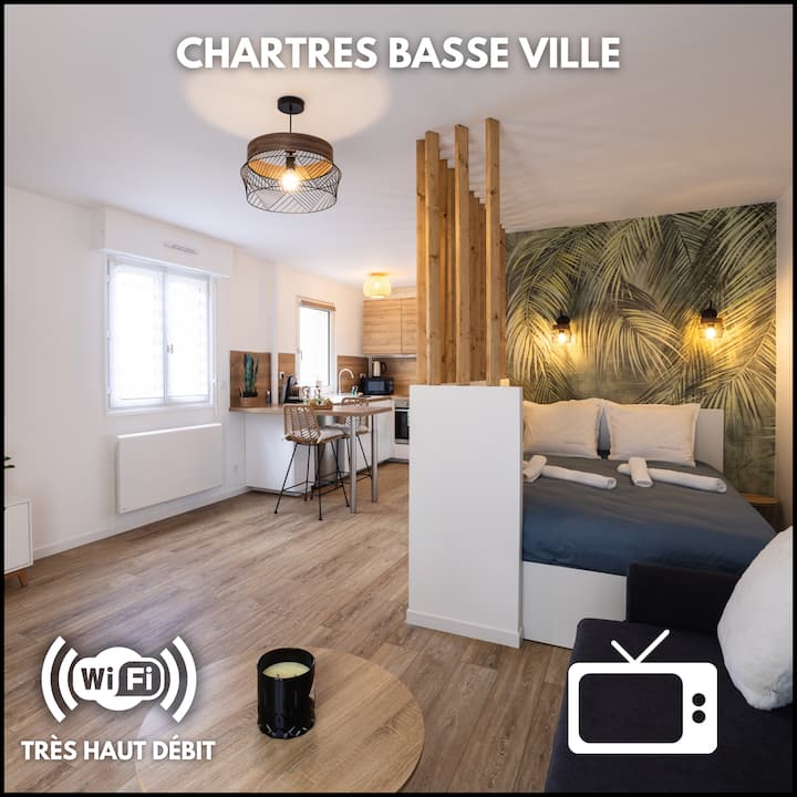 Chartres - Le Saint Pierre - Chartres