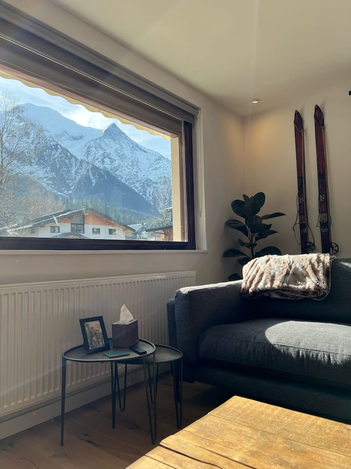 Sauna / Bain Nordique / Cinéma / Vue Montange - Chamonix