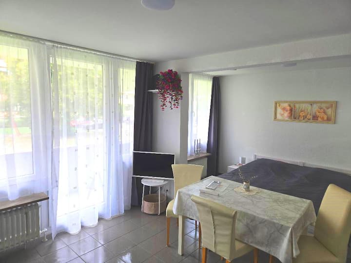 Ruhige Ferienwohnung - Giessen